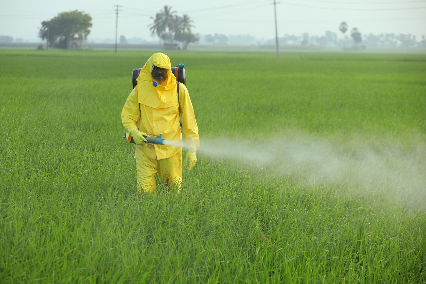Coromandel: Fertiliser Company for Crop Protection & Nutrients